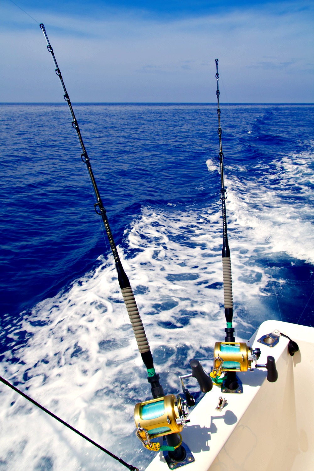 Gulf Coast Fishing in Northwest Florida and Alabama – A Year-Round ...